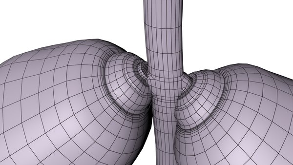 Dates 3D model - TurboSquid 1820296