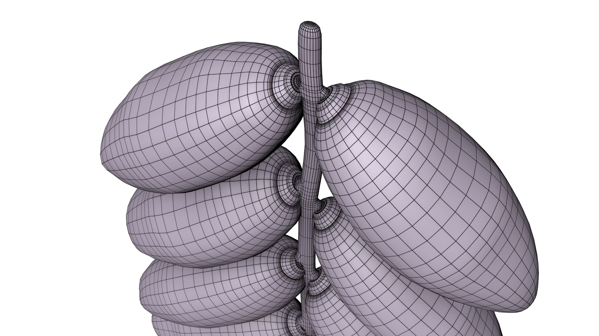 Dates 3D Model - TurboSquid 1820296