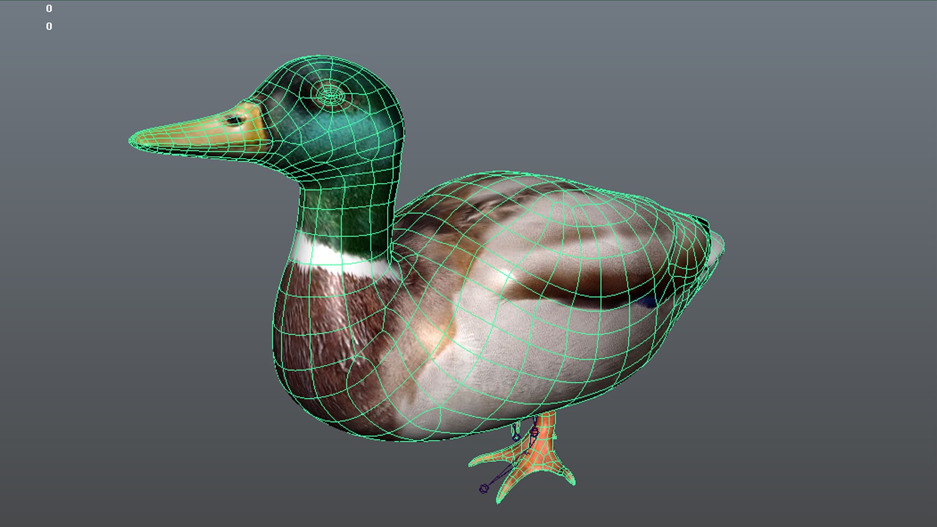 Duck 3D Model - TurboSquid 2192192
