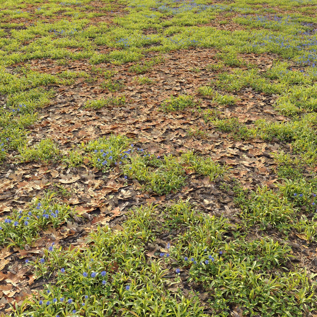 Forest Ground Model - TurboSquid 1933530