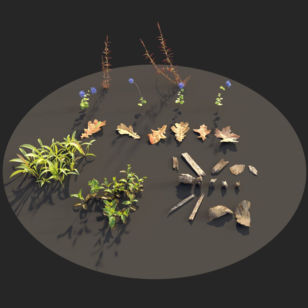 Forest Ground Model - TurboSquid 1933530