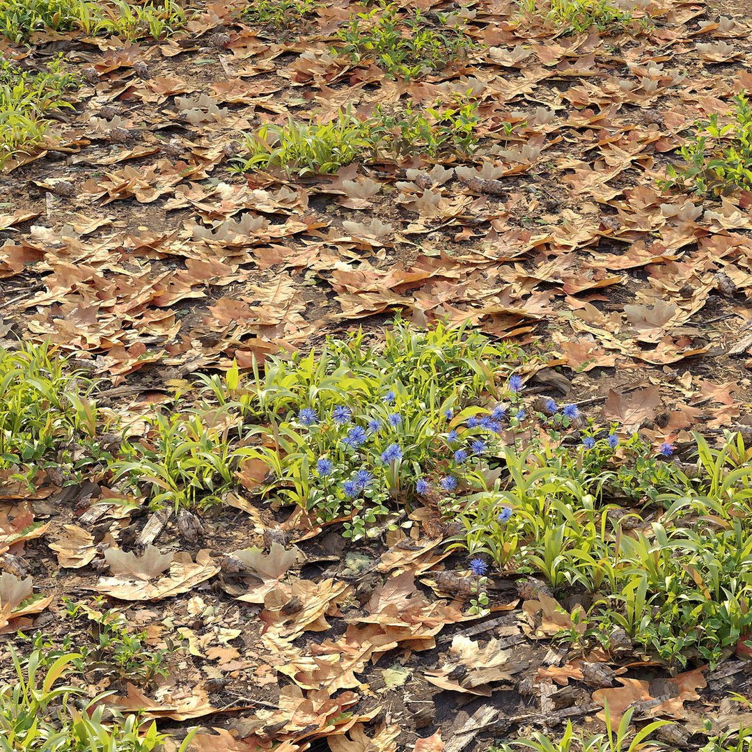 Forest Ground Model - TurboSquid 1933530