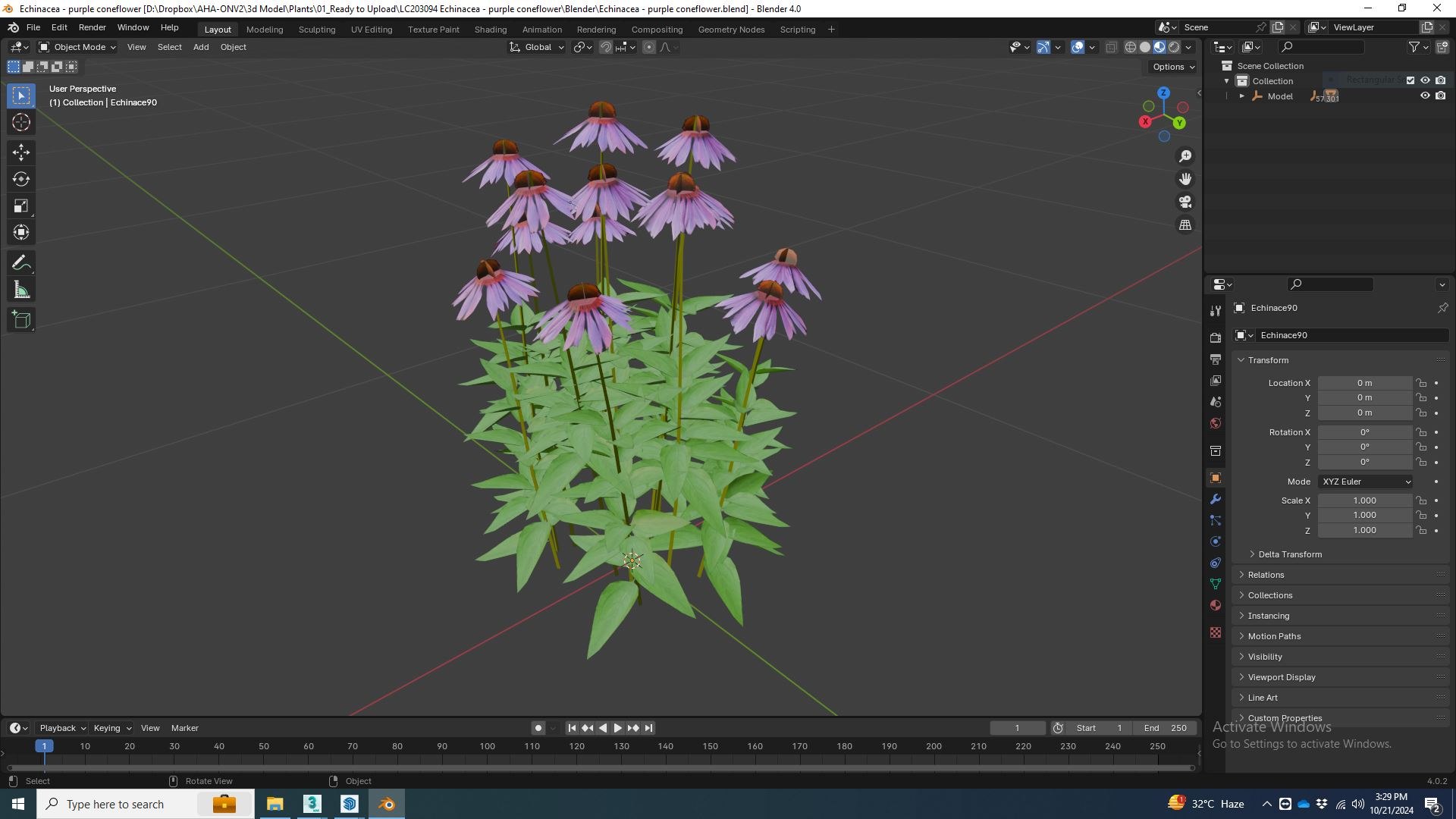 Echinacea - Purple Coneflower Model - TurboSquid 2295896