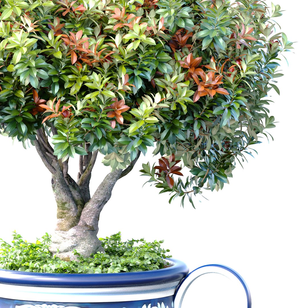 3D Decorative Flowering Garden Tree Plant In Italian Floor Vase ...