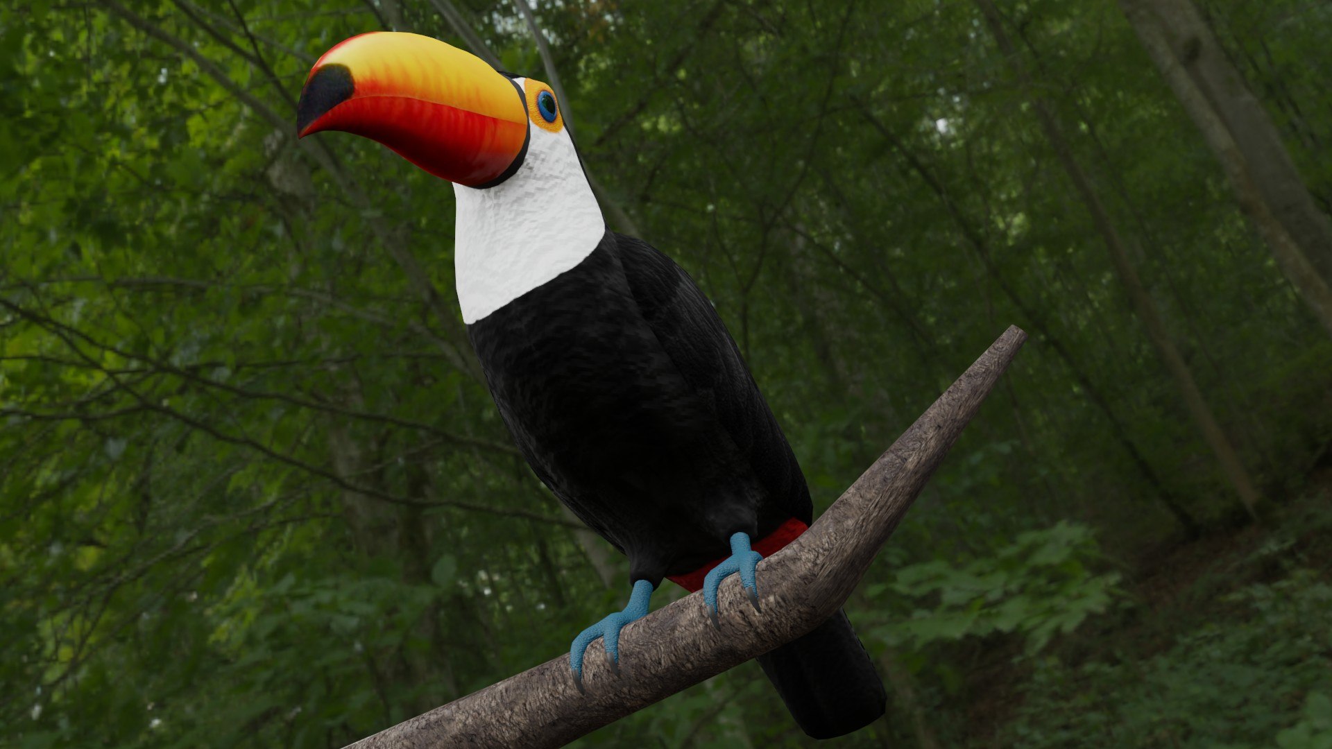 3D Toucan - TurboSquid 1733391