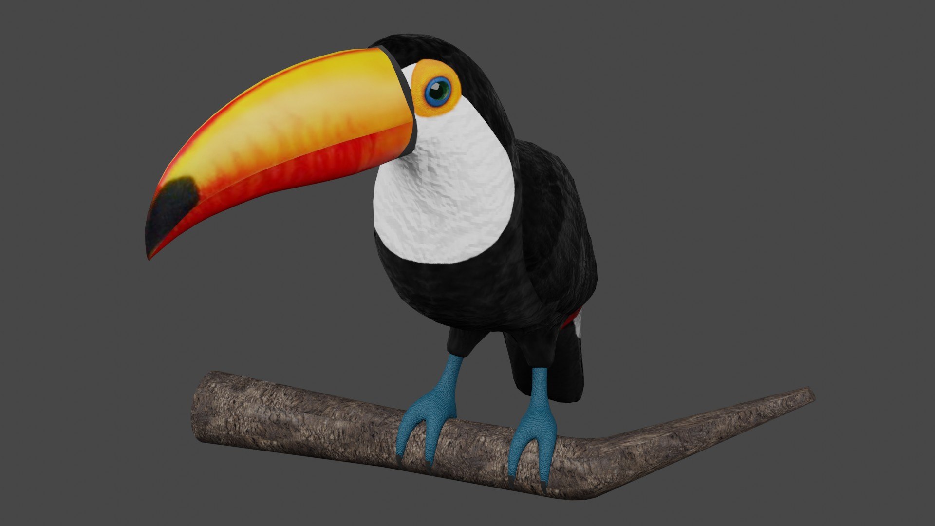 3D Toucan - TurboSquid 1733391