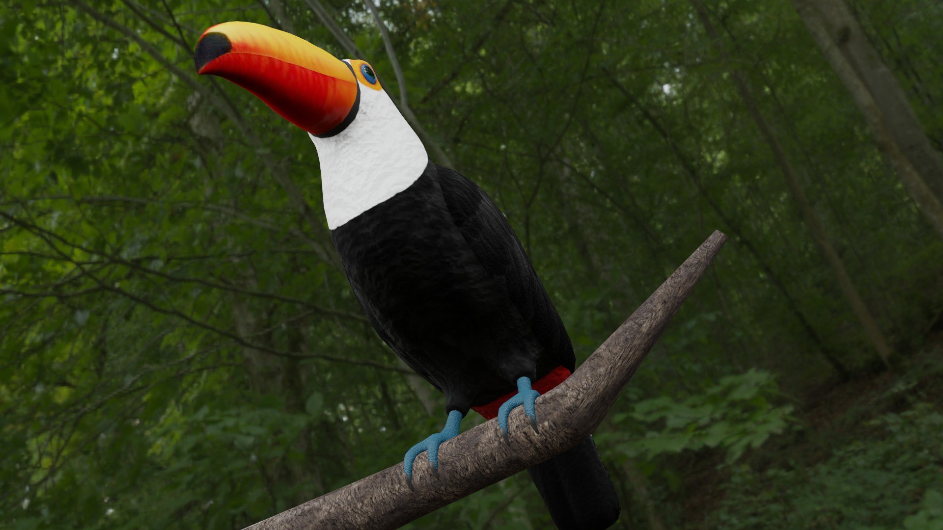 3D Toucan - TurboSquid 1733391