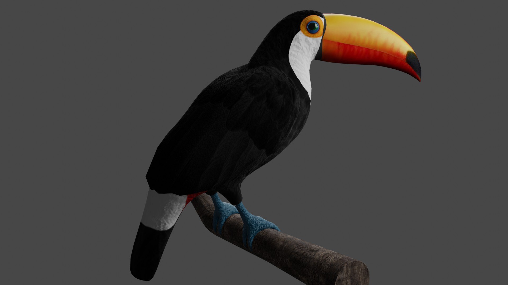 3D Toucan - TurboSquid 1733391