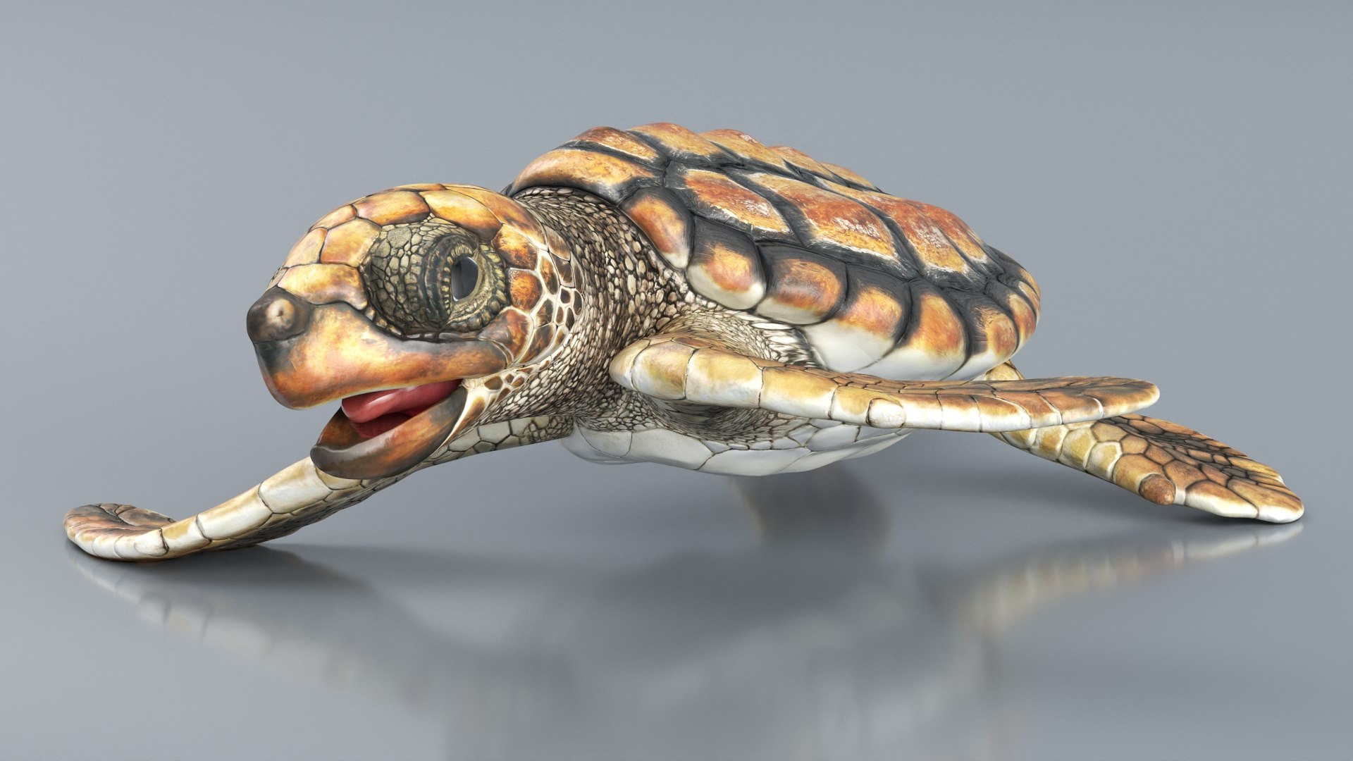 Baby Sea Turtle Brown Walking Rigged For Maya Animated 3D Model ...