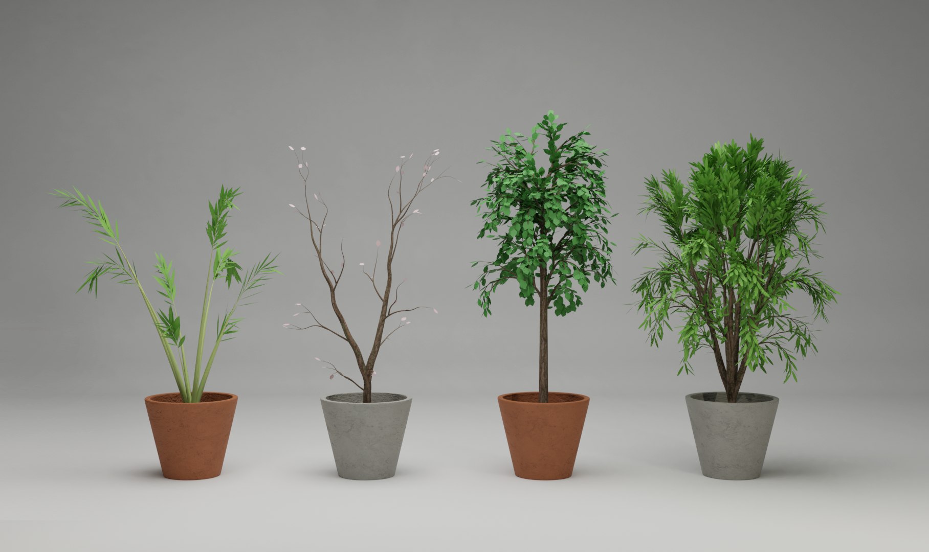 3D Model Large Potted Plants - TurboSquid 1646947