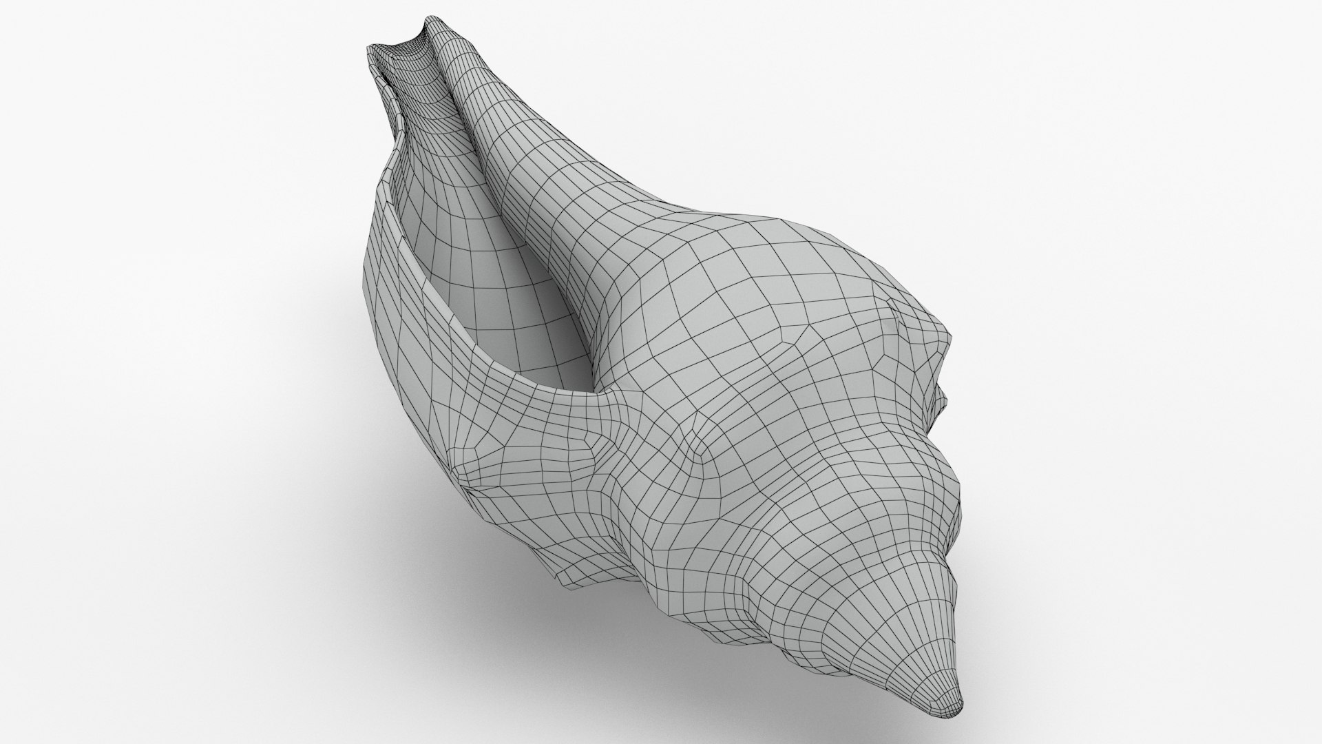 Sea Shell Collection 3D model - TurboSquid 2076830