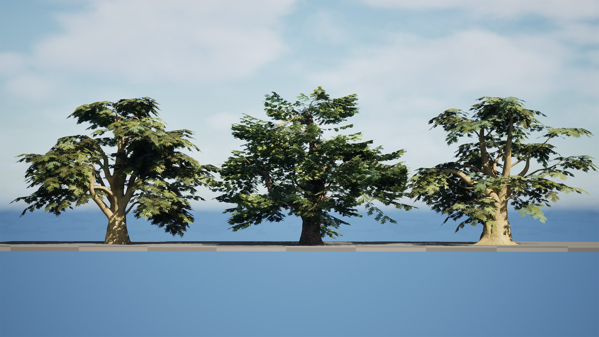 3D 3D Cedar Of Lebanon Tree Model - TurboSquid 2308222