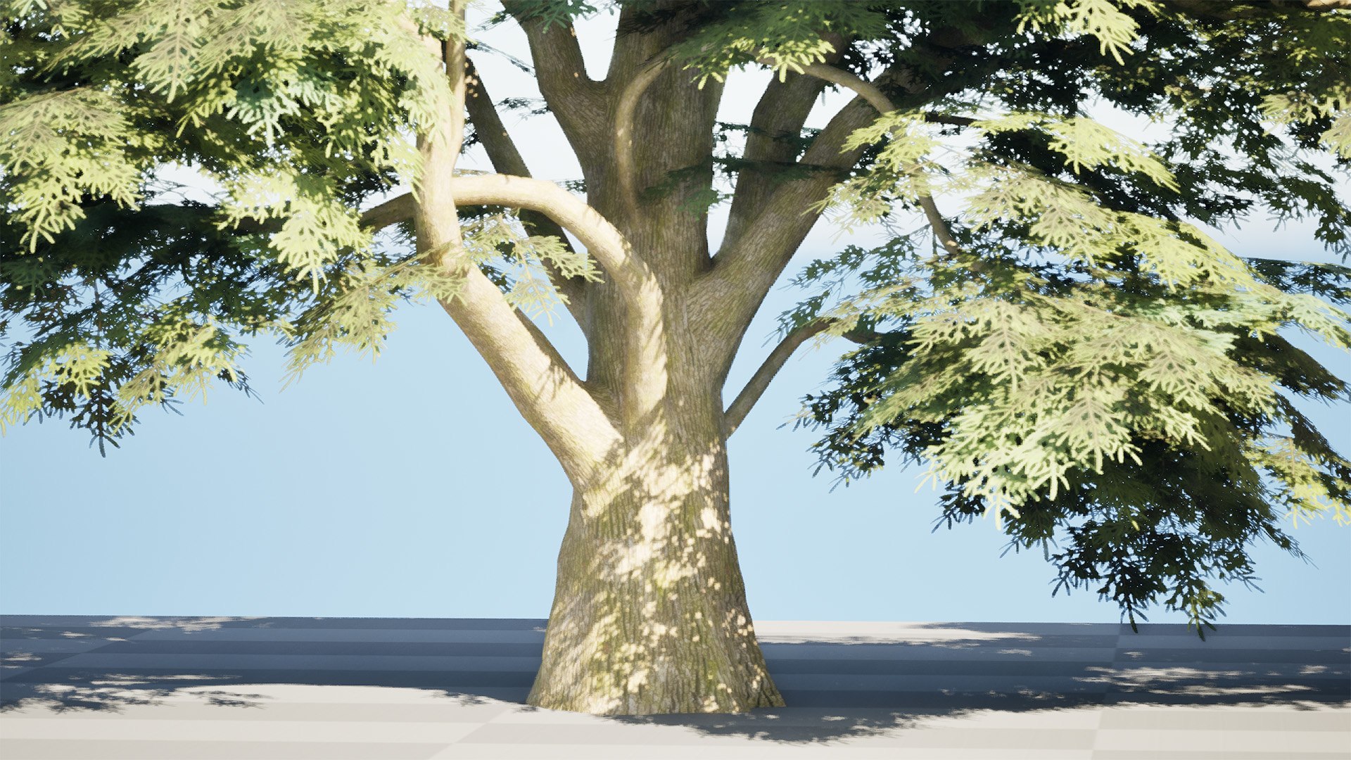 3D 3D Cedar Of Lebanon Tree Model - TurboSquid 2308222