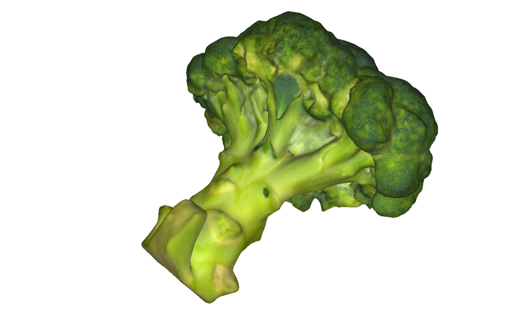 3D Broccoli Scan Scanner - TurboSquid 1641311