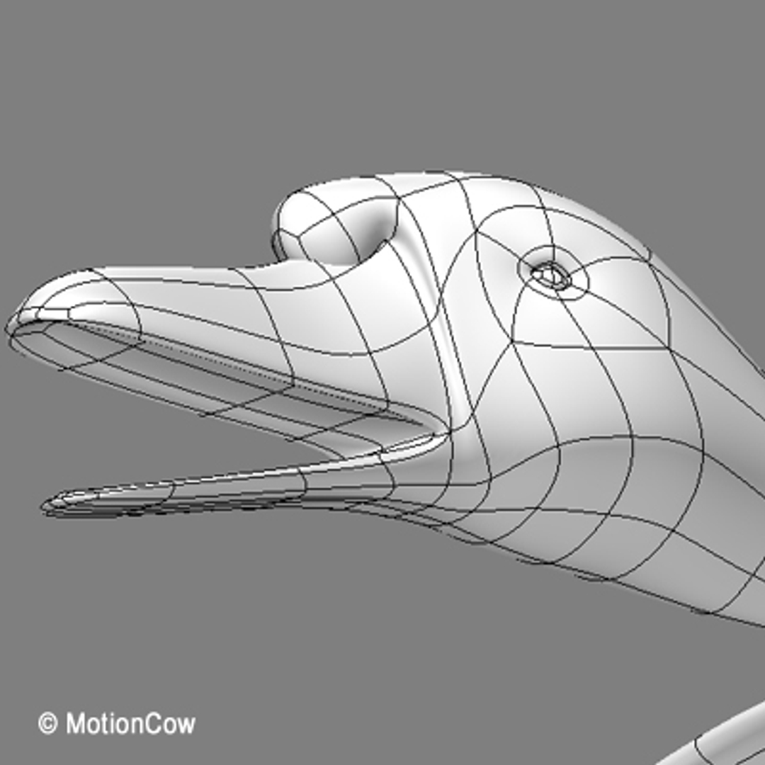 flying swan 3d model