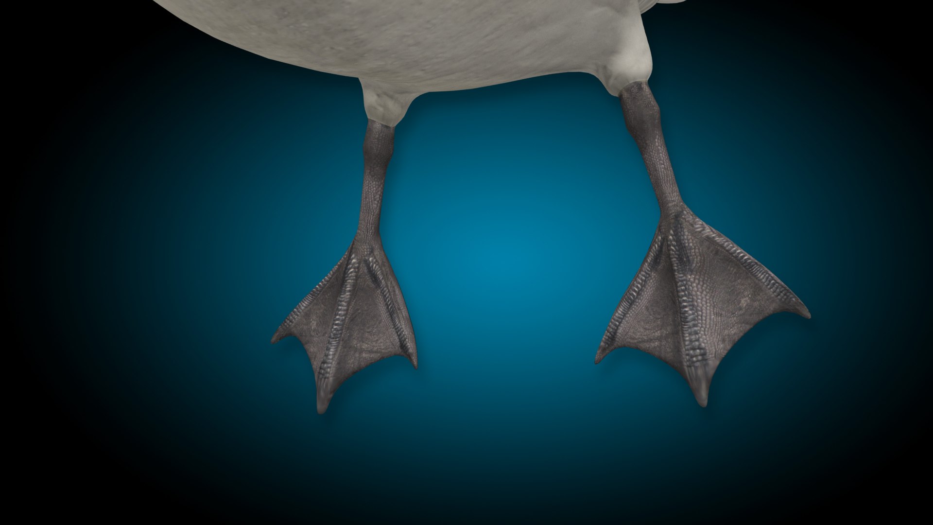 Flying Swan 3d Model