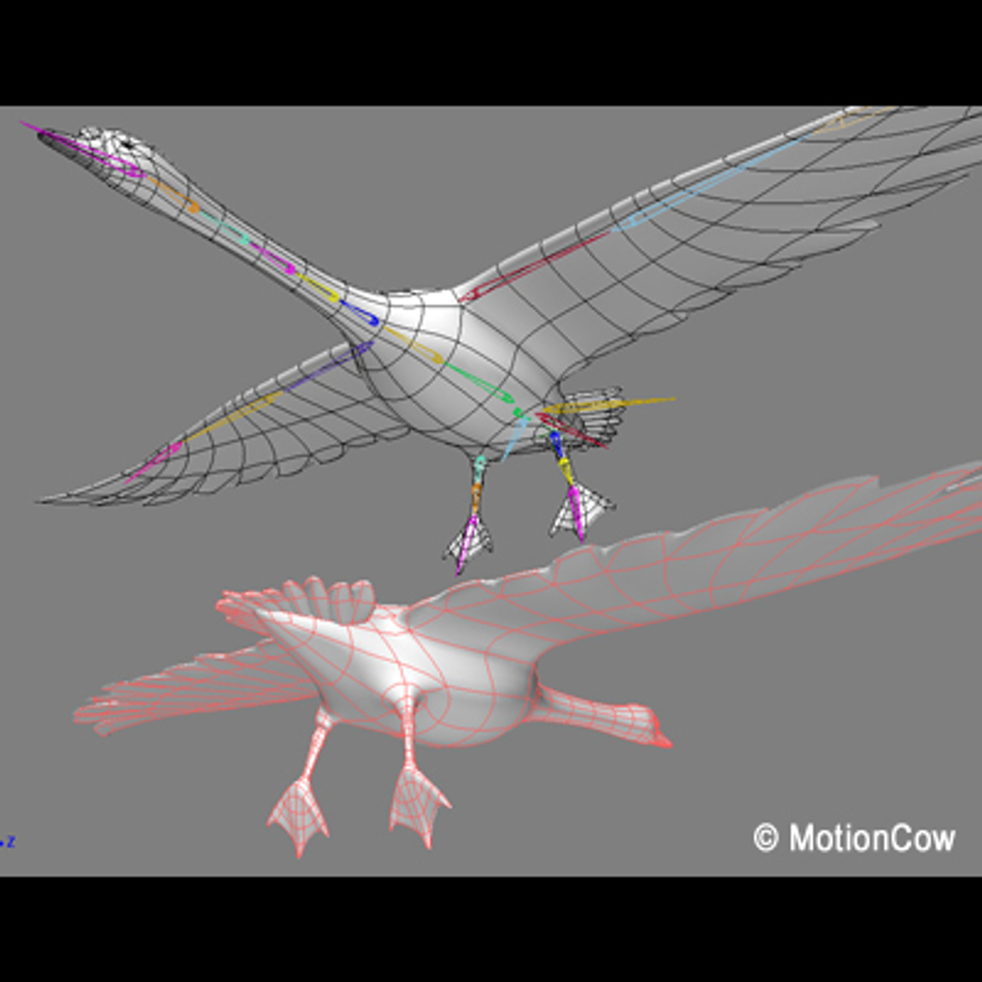 flying swan 3d model