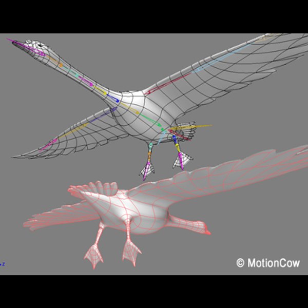 flying swan 3d model