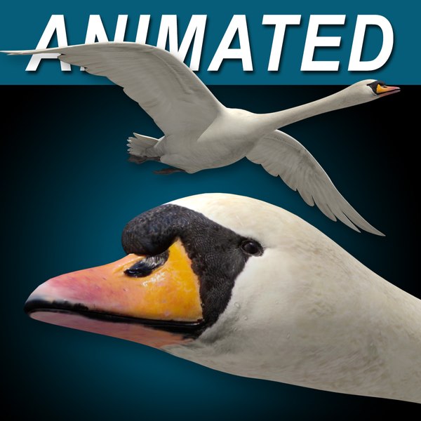 Animated Bird Blender Models for Download | TurboSquid