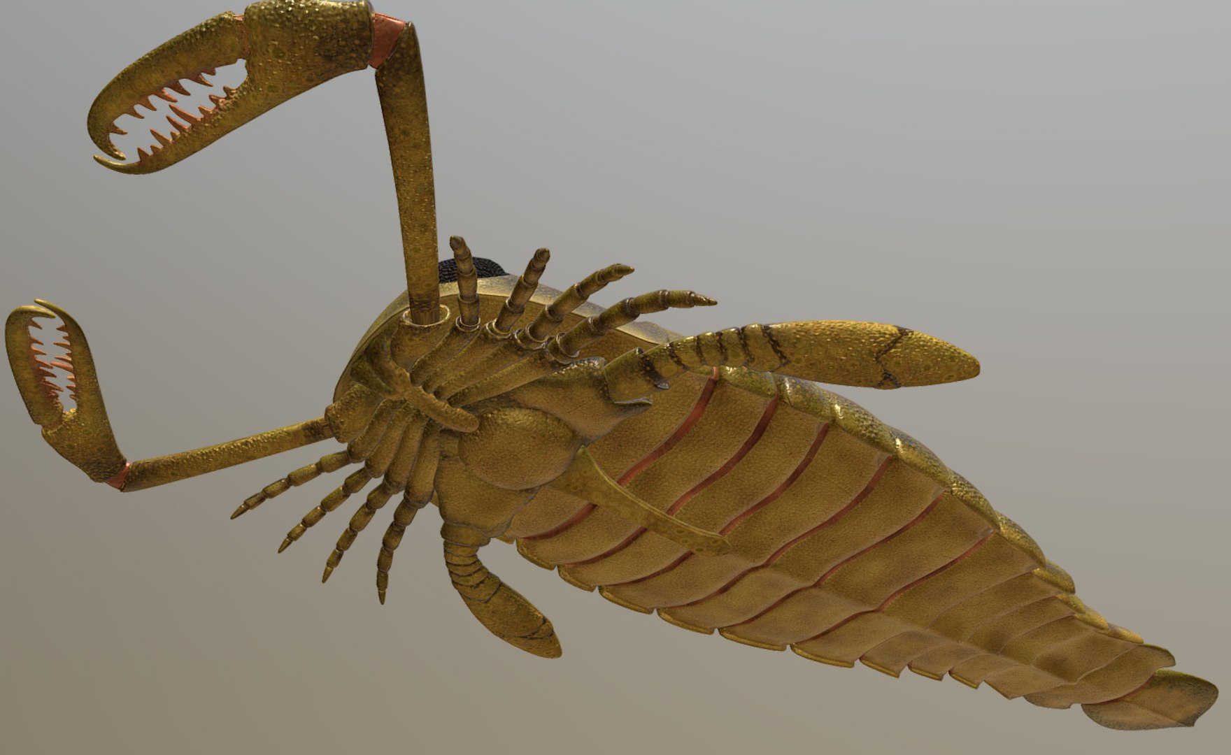 Pterygotus 3D Model - TurboSquid 1363061