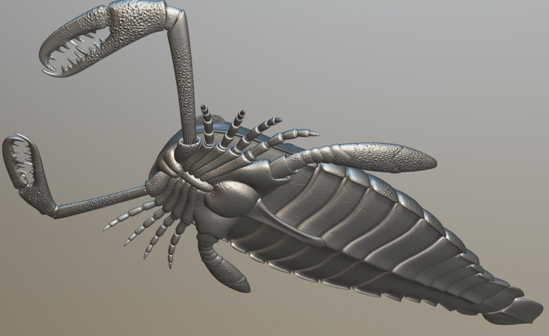 Pterygotus 3D Model - TurboSquid 1363061