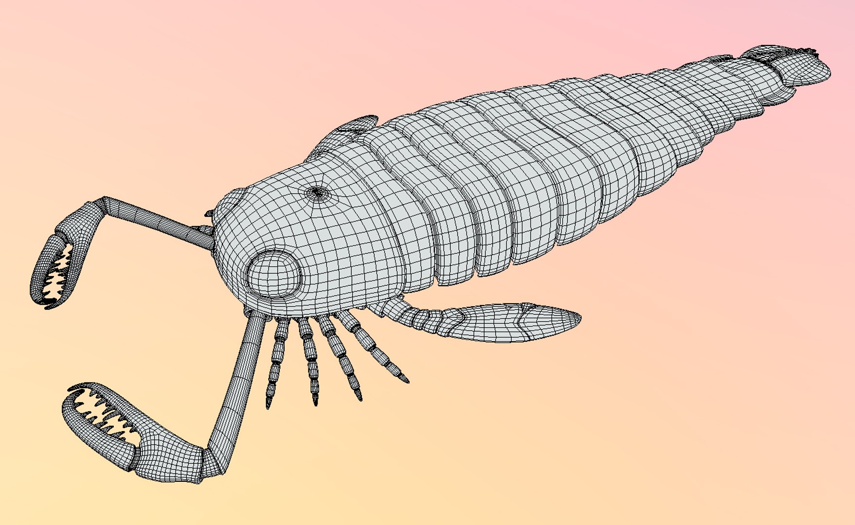 Pterygotus 3D Model - TurboSquid 1363061