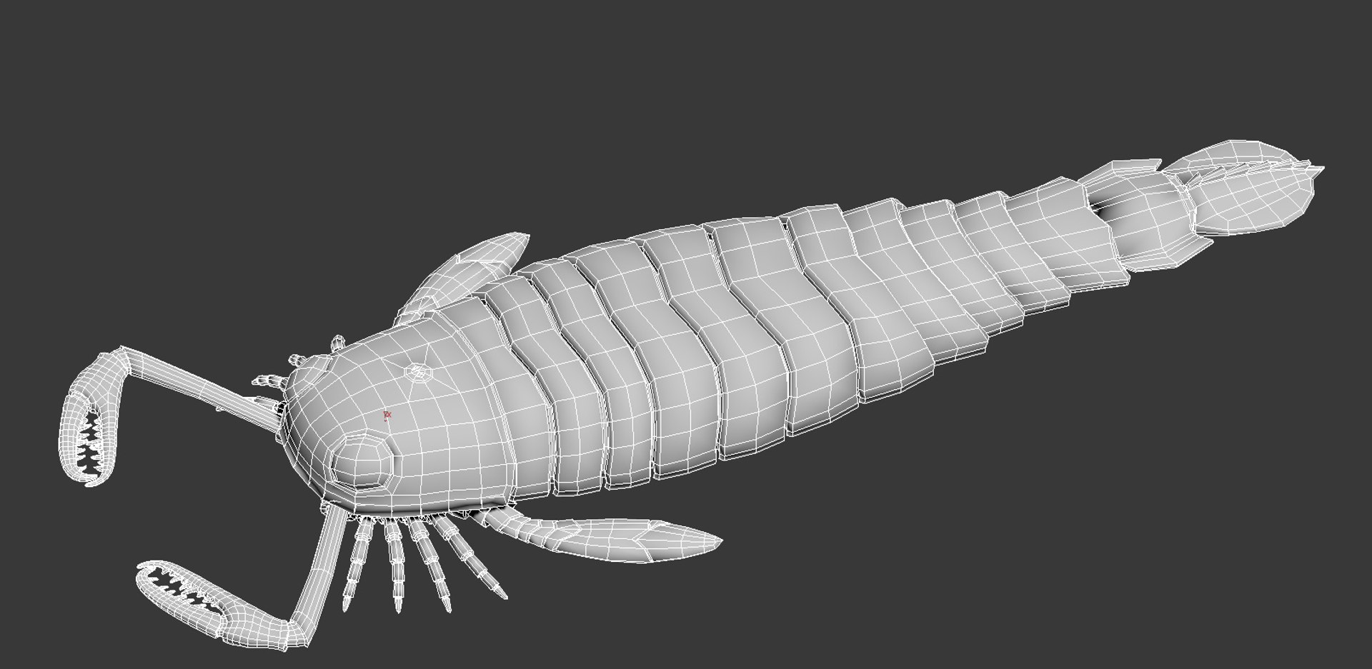 Pterygotus 3D Model - TurboSquid 1363061