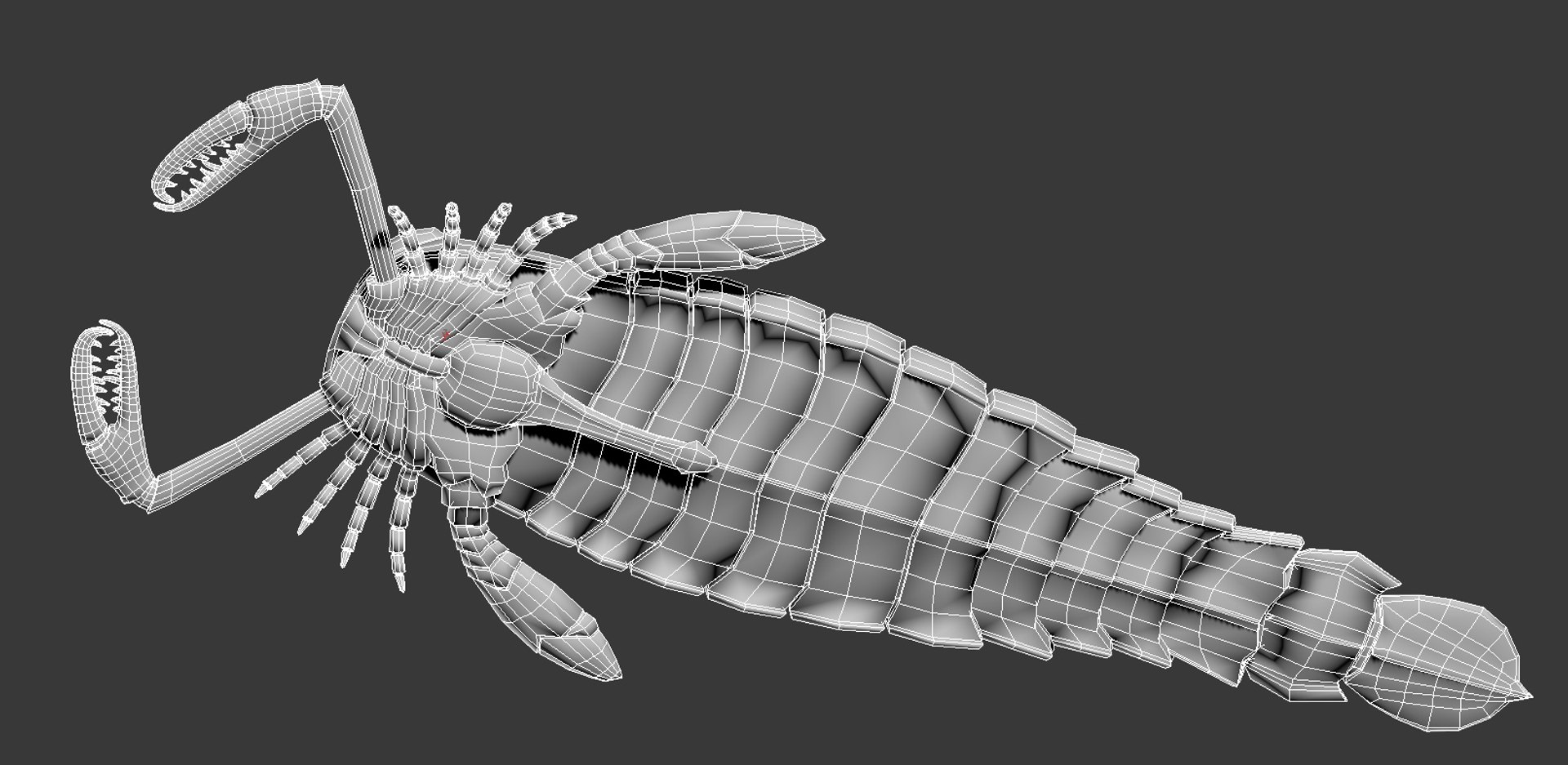 Pterygotus 3D Model - TurboSquid 1363061