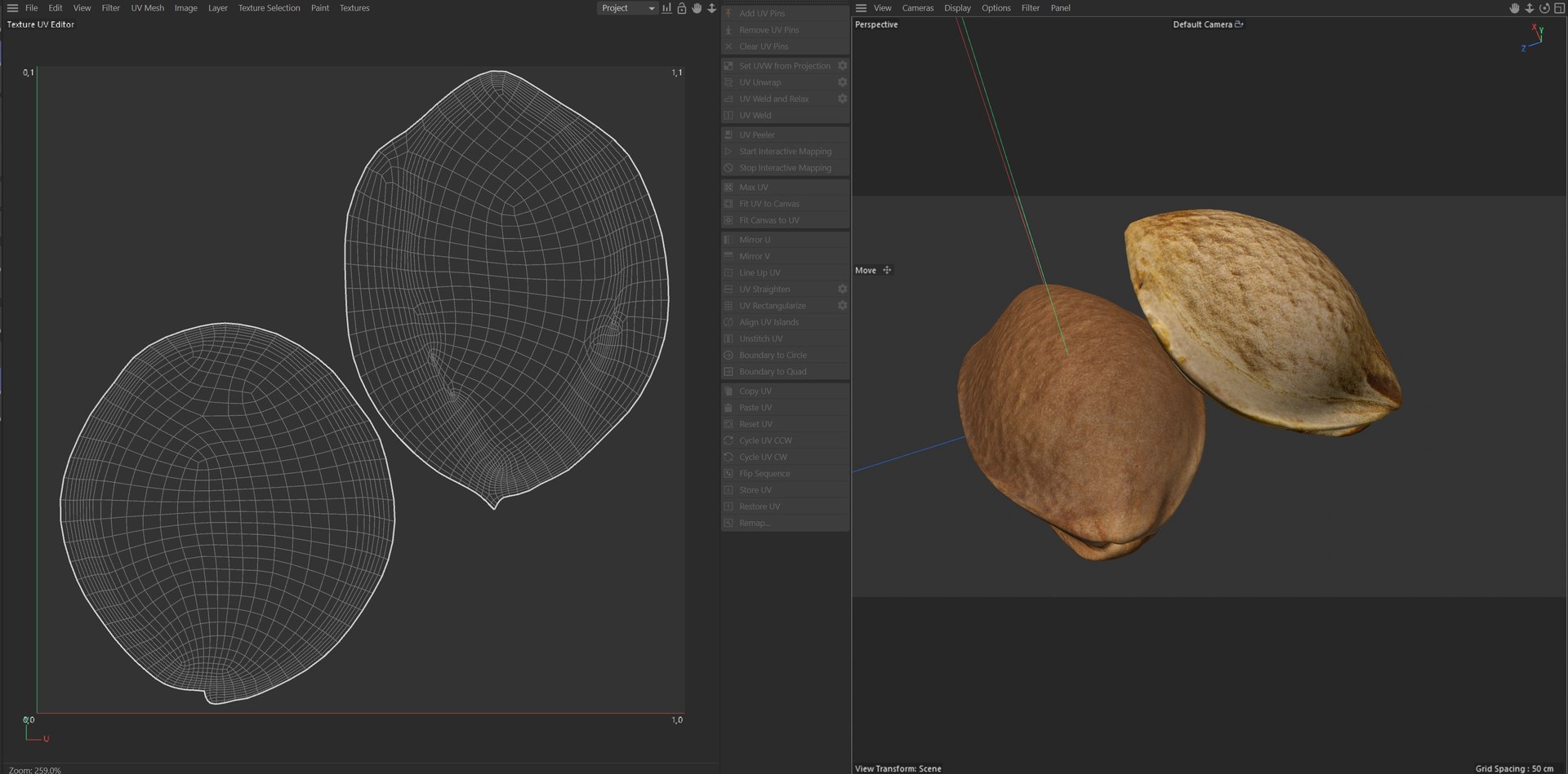 3D Seed Collection V2 Model - TurboSquid 2407640