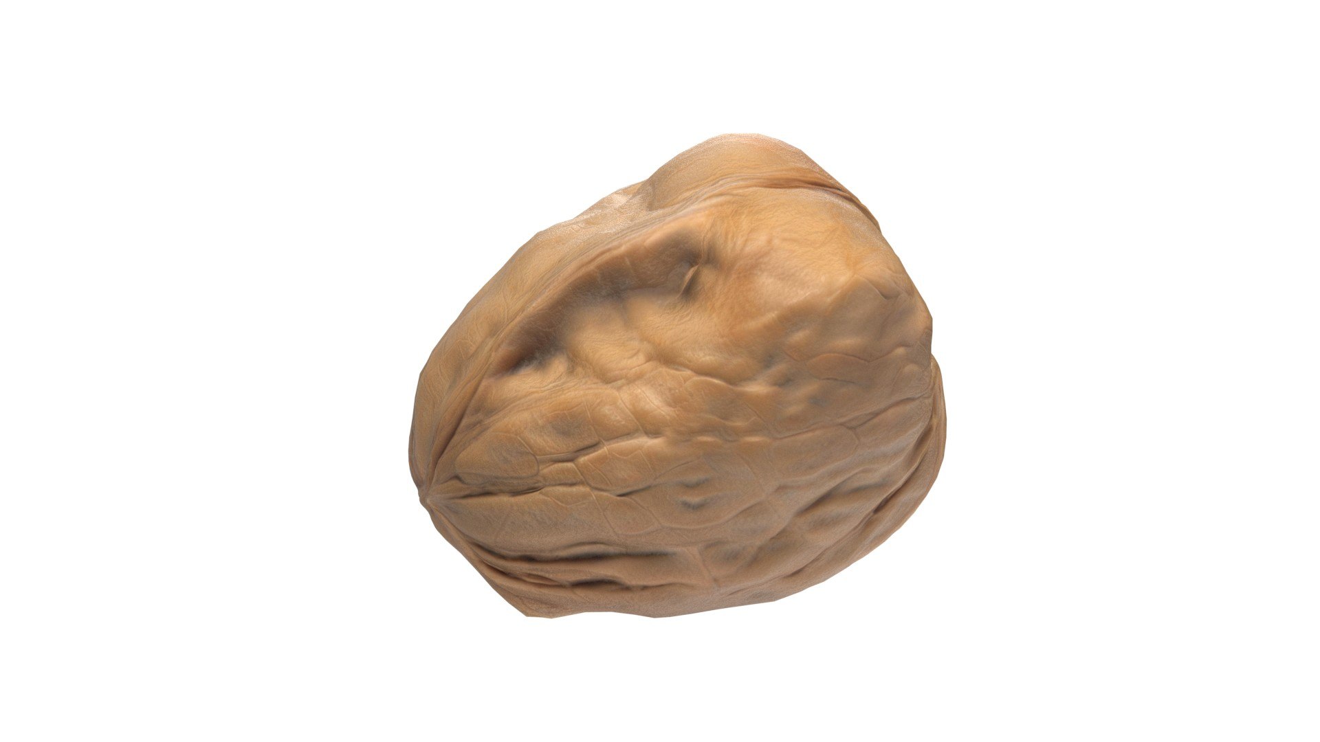 3D Seed Collection V2 Model - TurboSquid 2407640