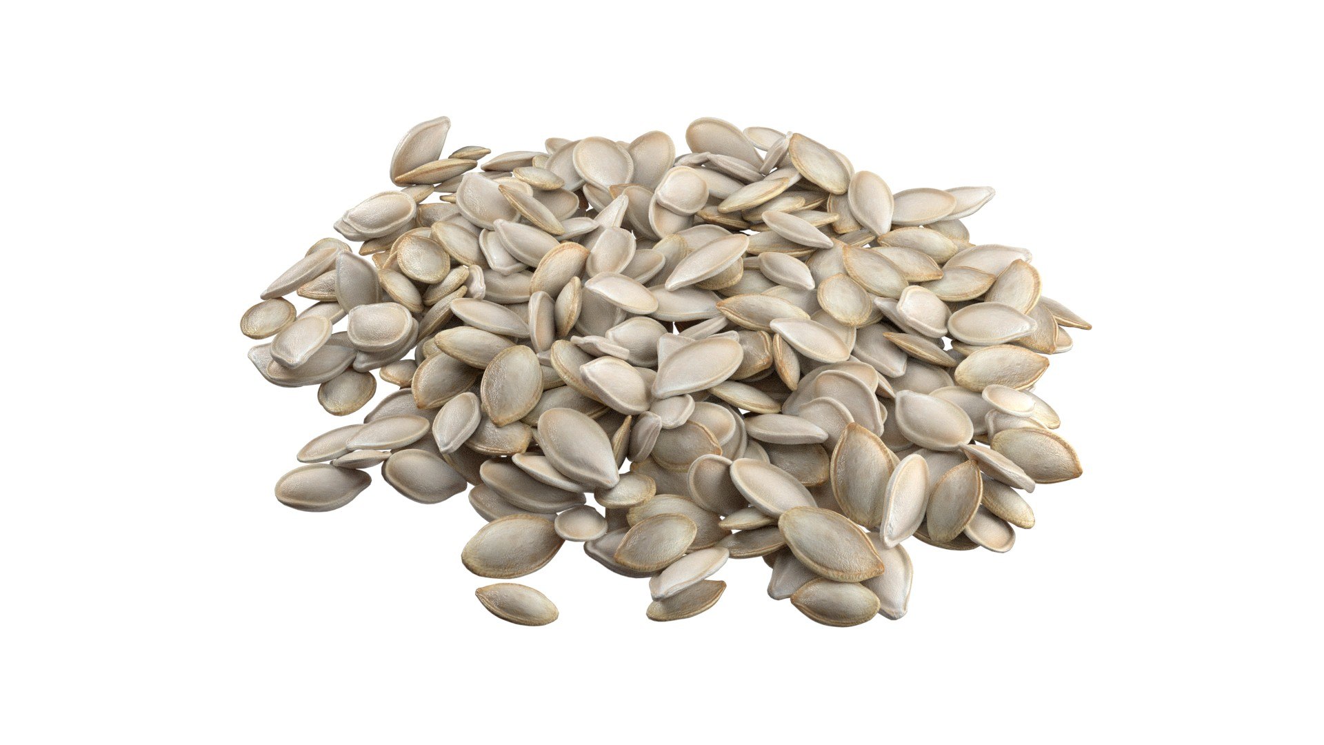 3D Seed Collection V2 Model - TurboSquid 2407640