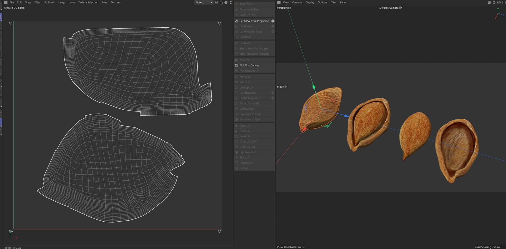 3D Seed Collection V2 Model - TurboSquid 2407640