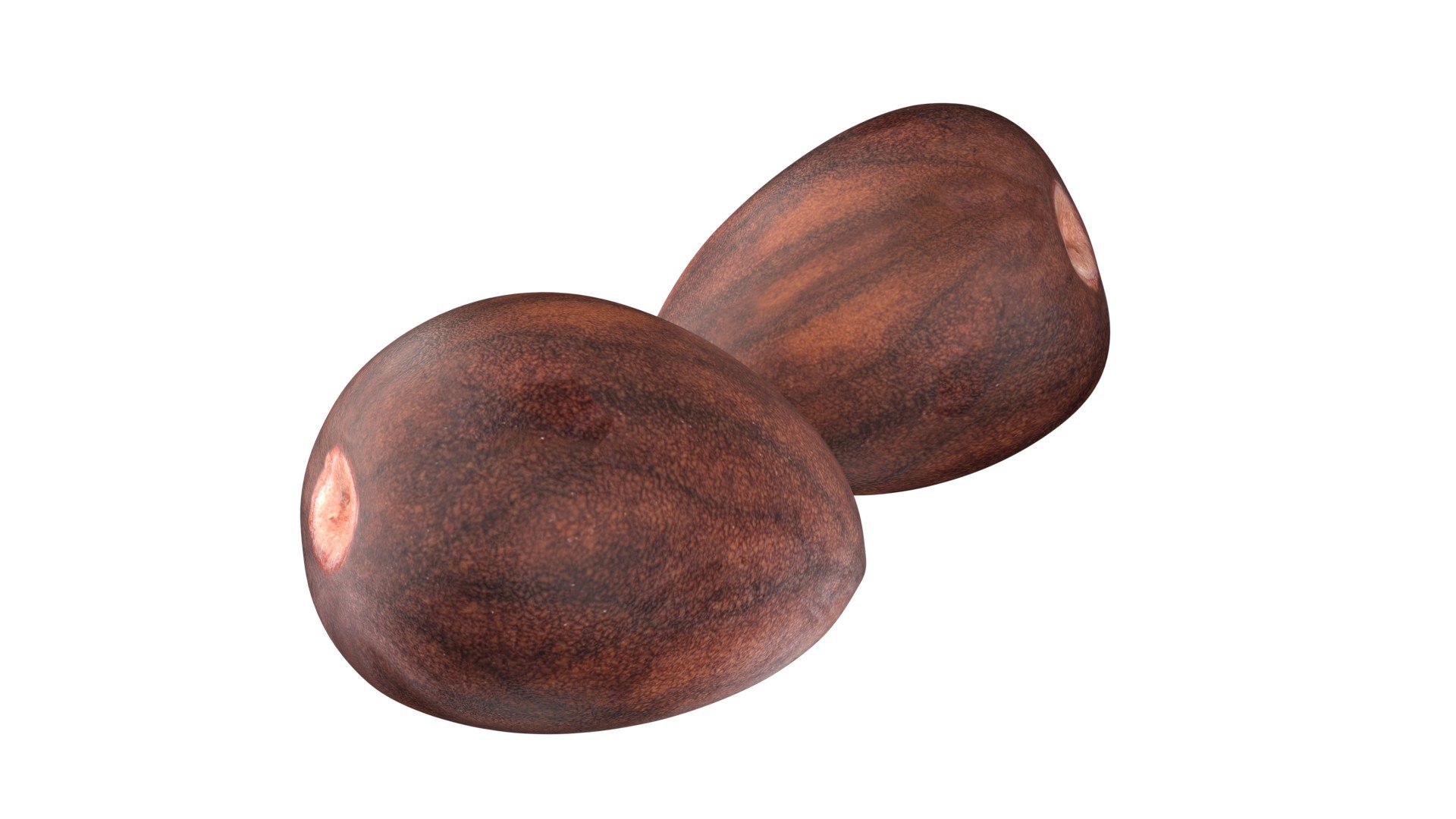 3D Seed Collection V2 Model - TurboSquid 2407640