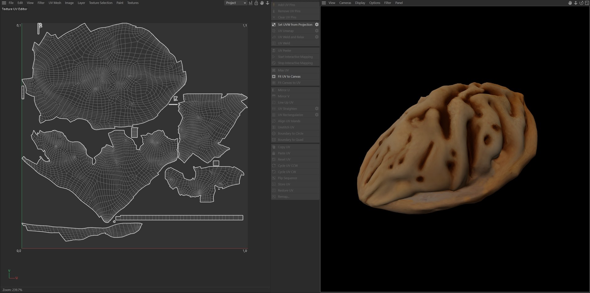 3D Seed Collection V2 Model - TurboSquid 2407640