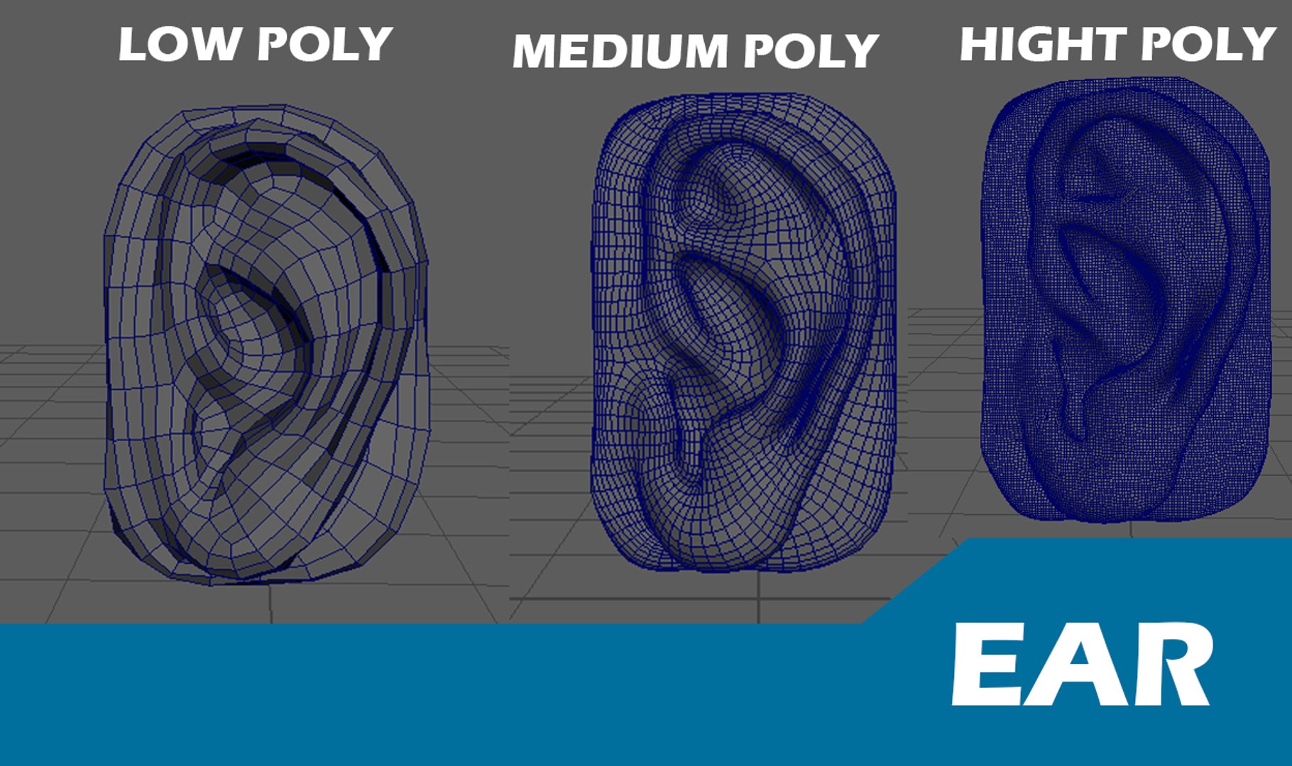 Ear Polys 3D Model - TurboSquid 1180194