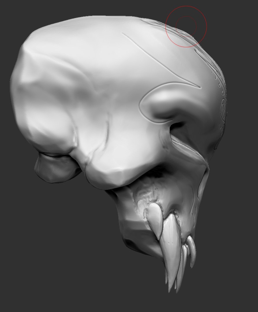 3D Skull Prop - TurboSquid 1402384