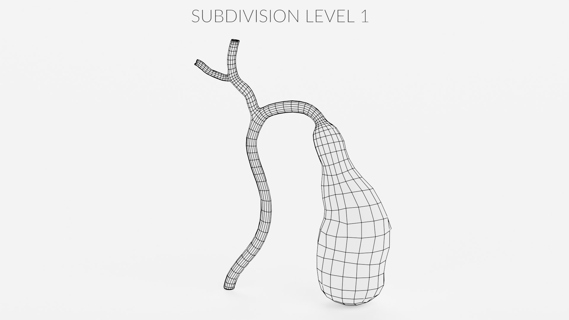 Gallbladder 3D Model - TurboSquid 1755765