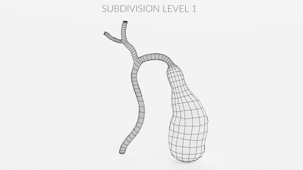 Gallbladder 3D model - TurboSquid 1755765