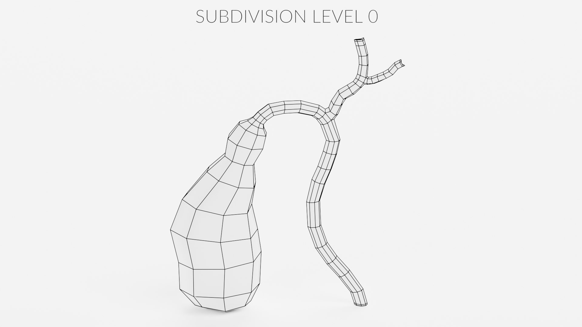 Gallbladder 3D Model - TurboSquid 1755765