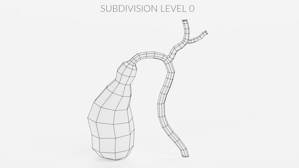 Gallbladder 3D model - TurboSquid 1755765
