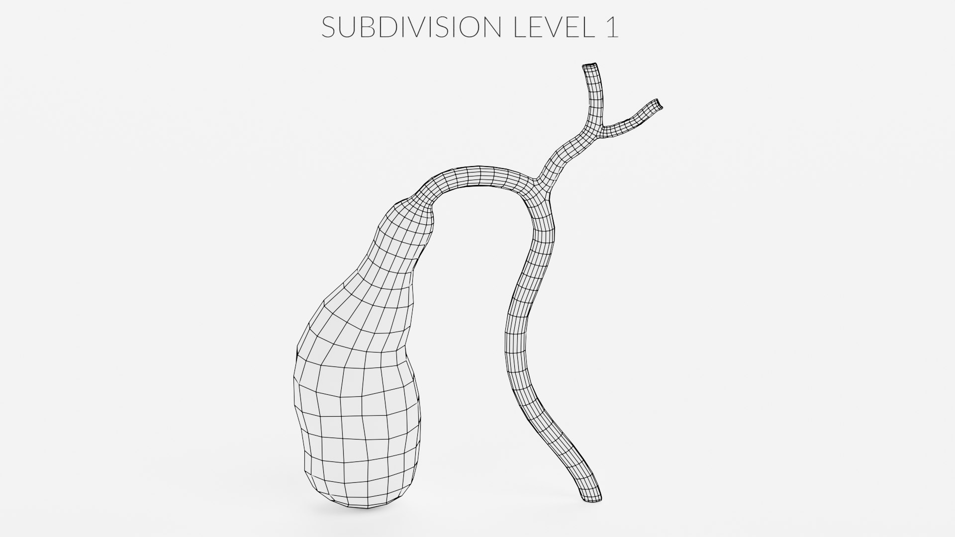 Gallbladder 3D Model - TurboSquid 1755765