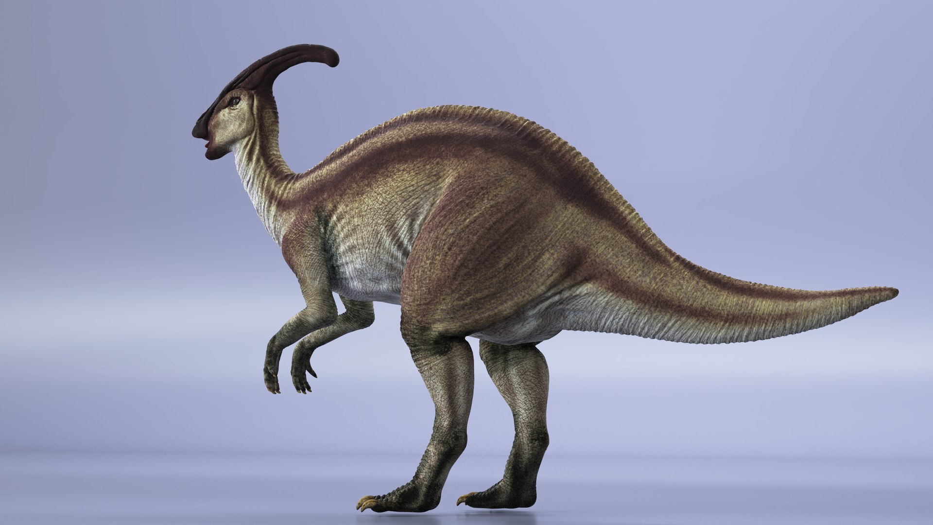 3D Parasaurolophus Dinosaur Rigged - TurboSquid 2271129