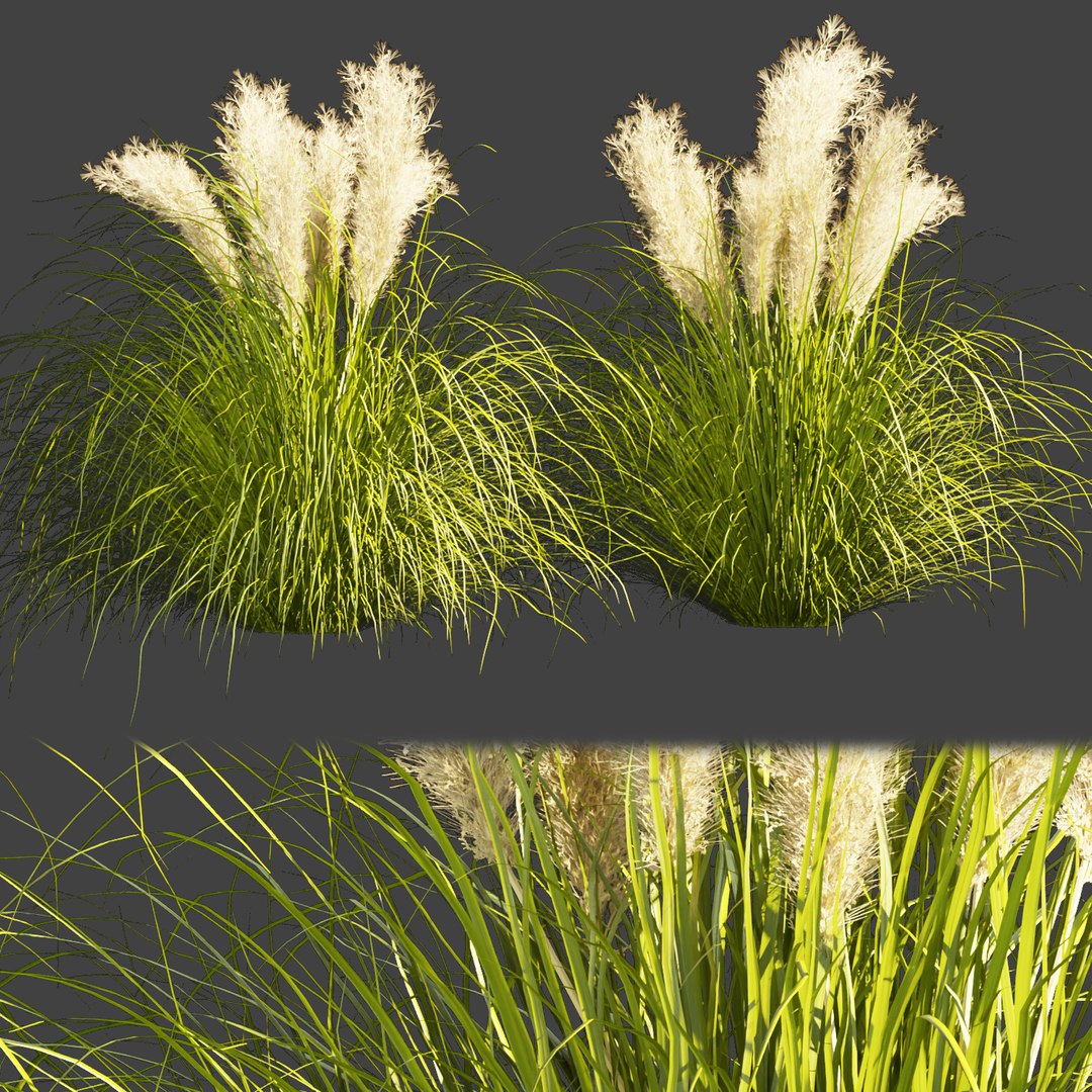 Collection plant vol 385 - grass - outdoor - foliage - blender - 3dmax ...
