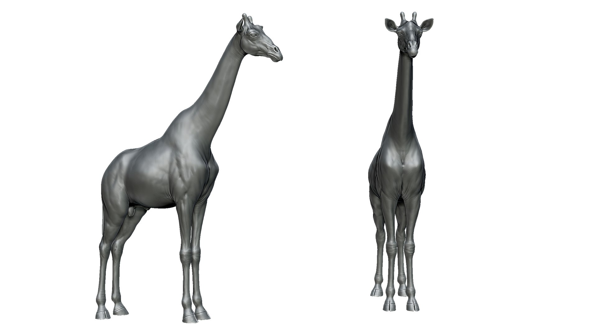 3D Model Giraffe - TurboSquid 2278516