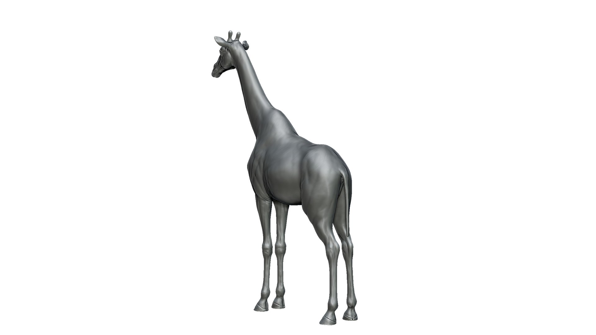 3D Model Giraffe - TurboSquid 2278516