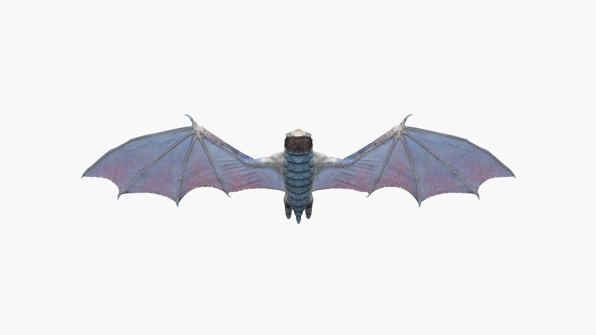SW Bat 3D model - TurboSquid 2085076