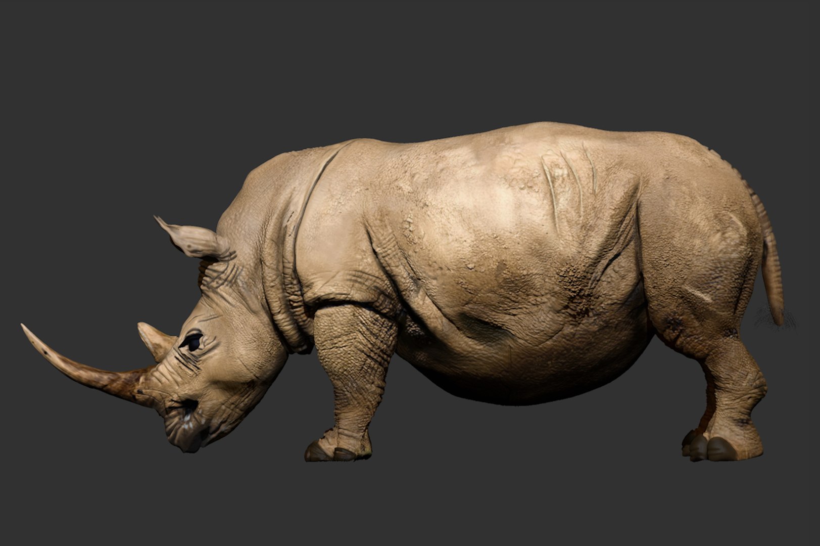 3D Rhino ZBrush ZTL Sculpt - TurboSquid 1736474