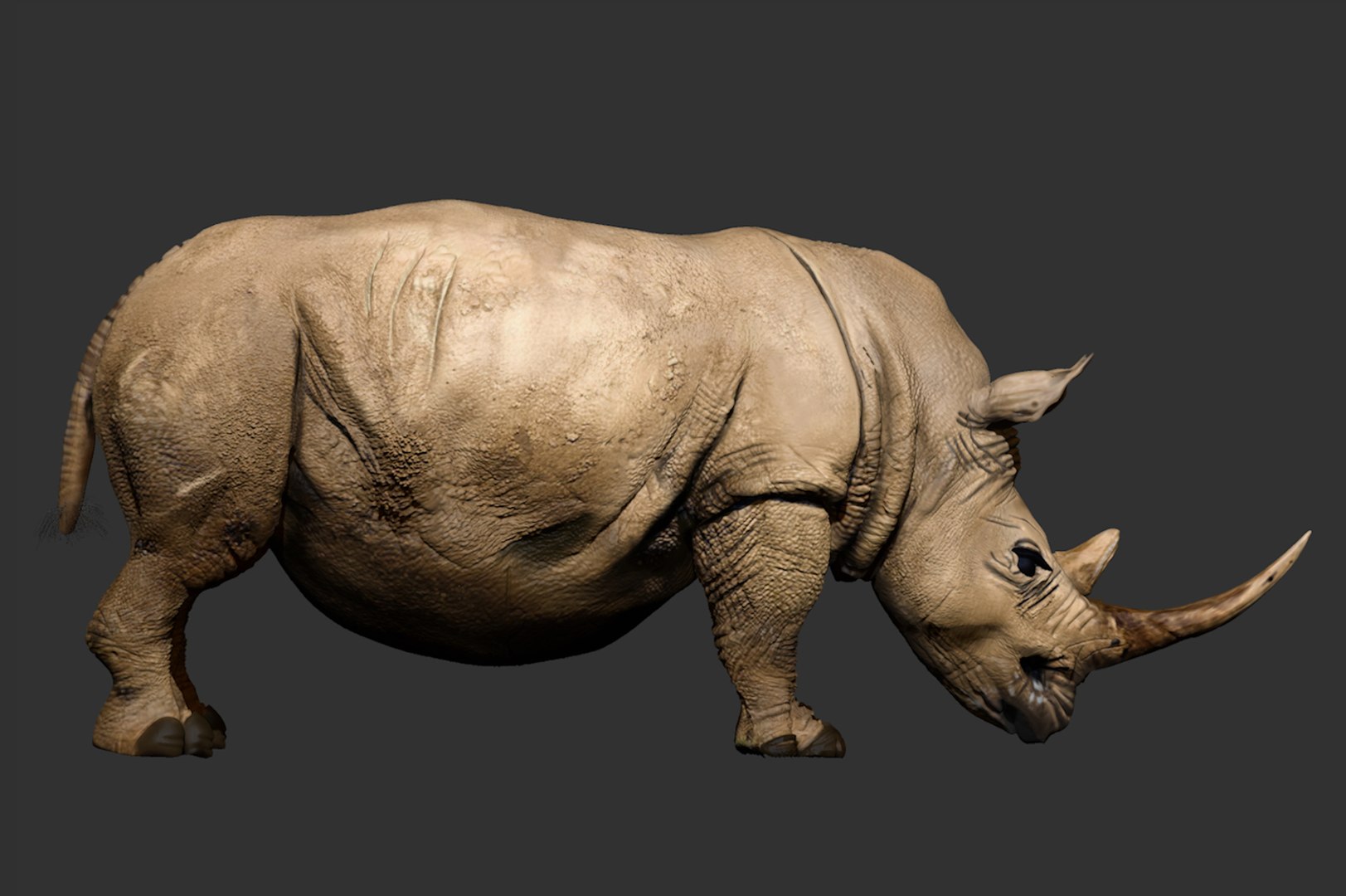 3D Rhino ZBrush ZTL Sculpt - TurboSquid 1736474