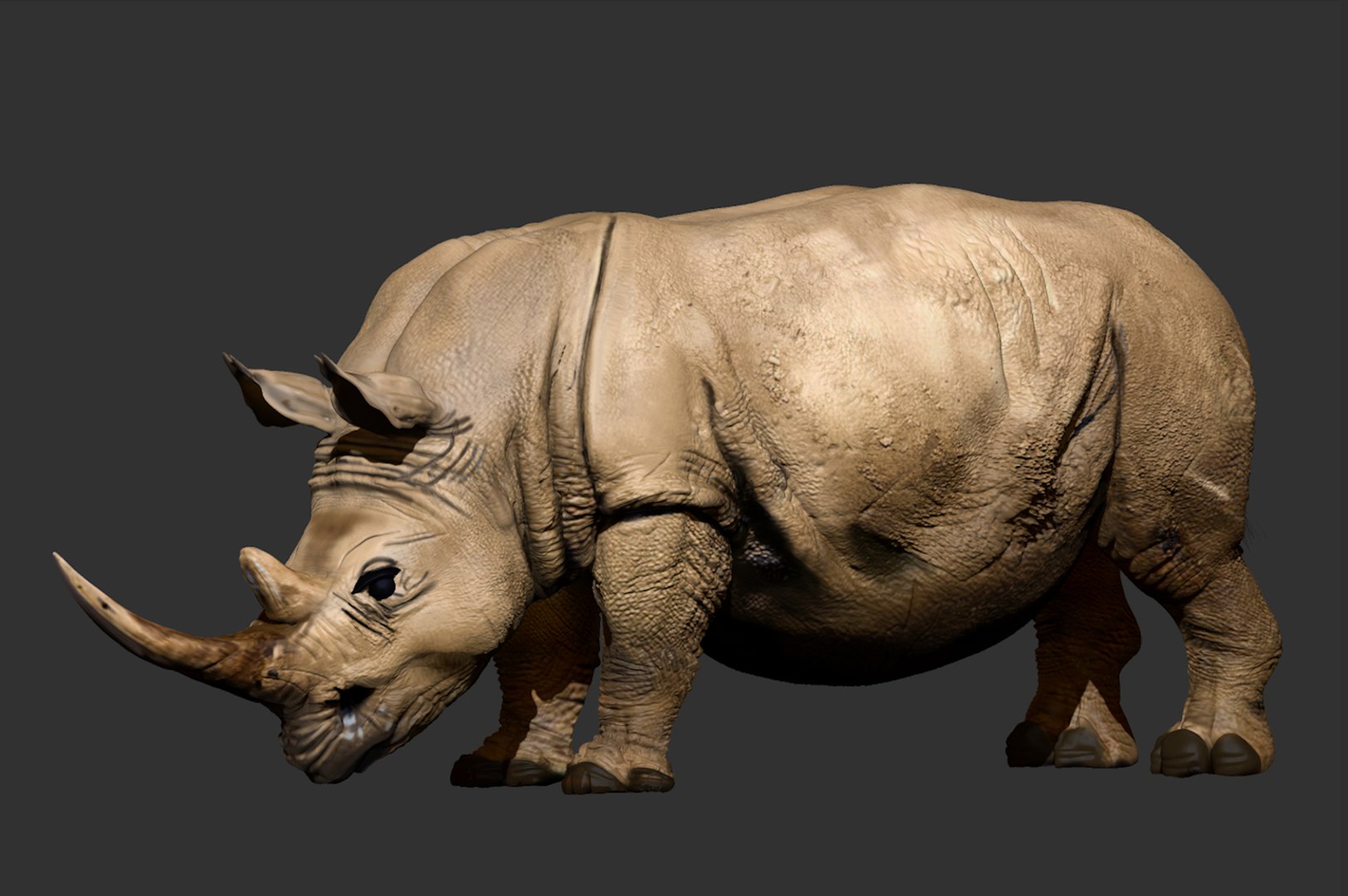 3D Rhino ZBrush ZTL Sculpt - TurboSquid 1736474