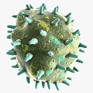 rabies virus 3d model